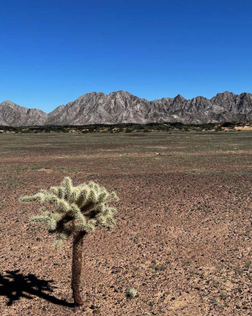 Reserva de la Biósfera El Pinacate y Gran Desierto de Altar 5 días ...