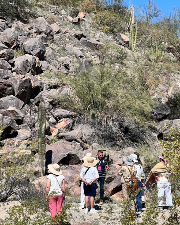 Reserva de la Biósfera El Pinacate y Gran Desierto de Altar 5 días ...