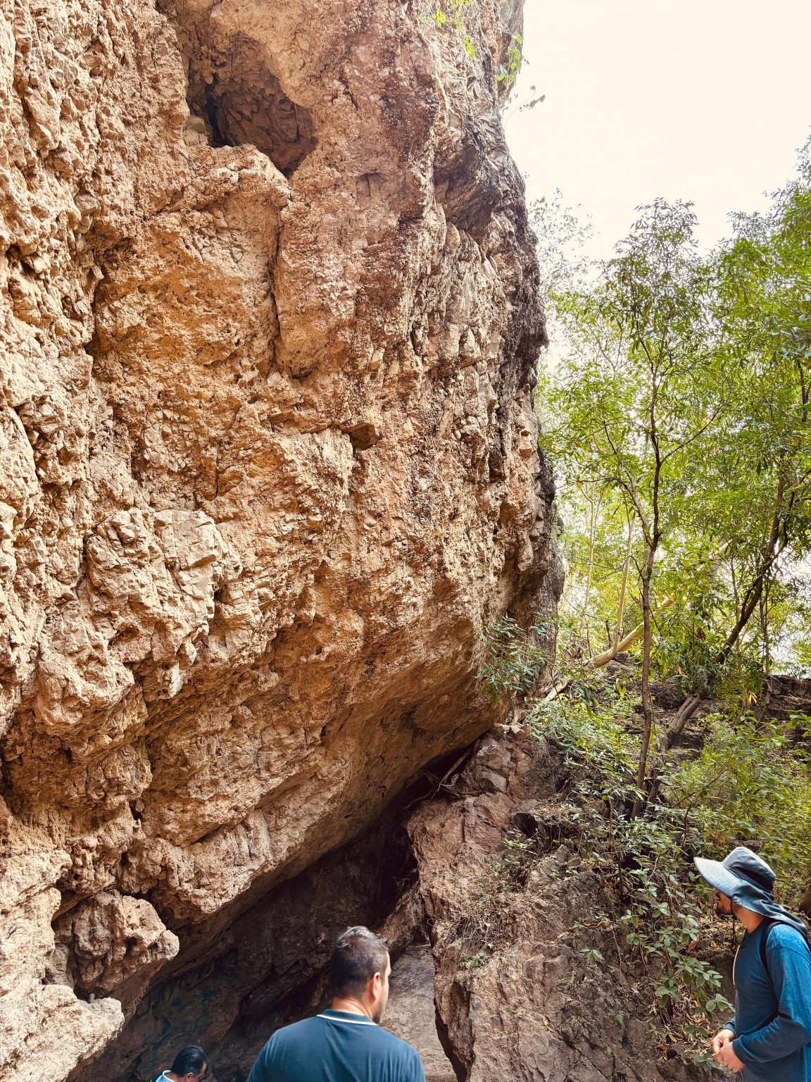 Ruta del Novillo Hiking – Sonora Tours