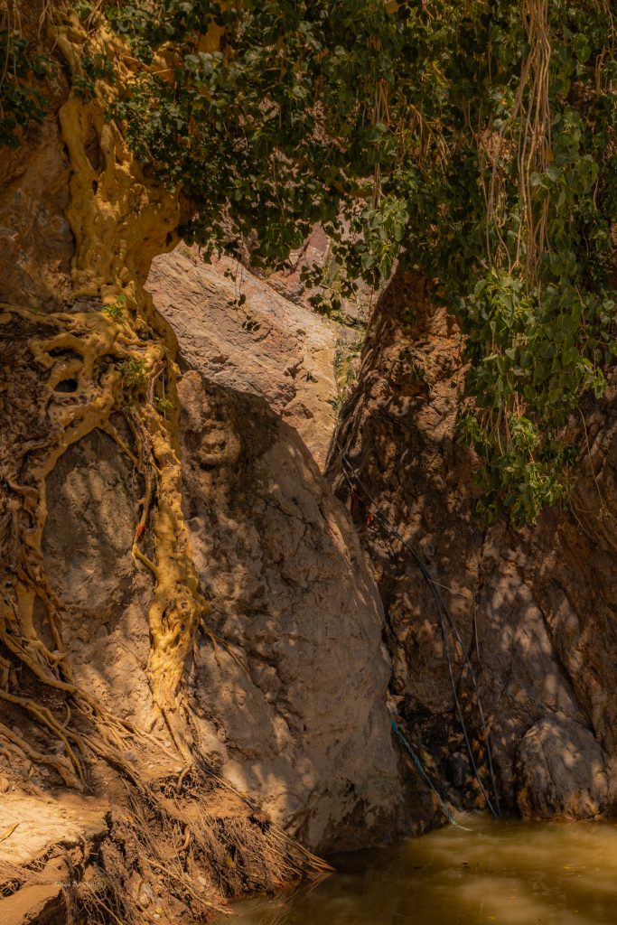 Ruta del Novillo Hiking – Sonora Tours