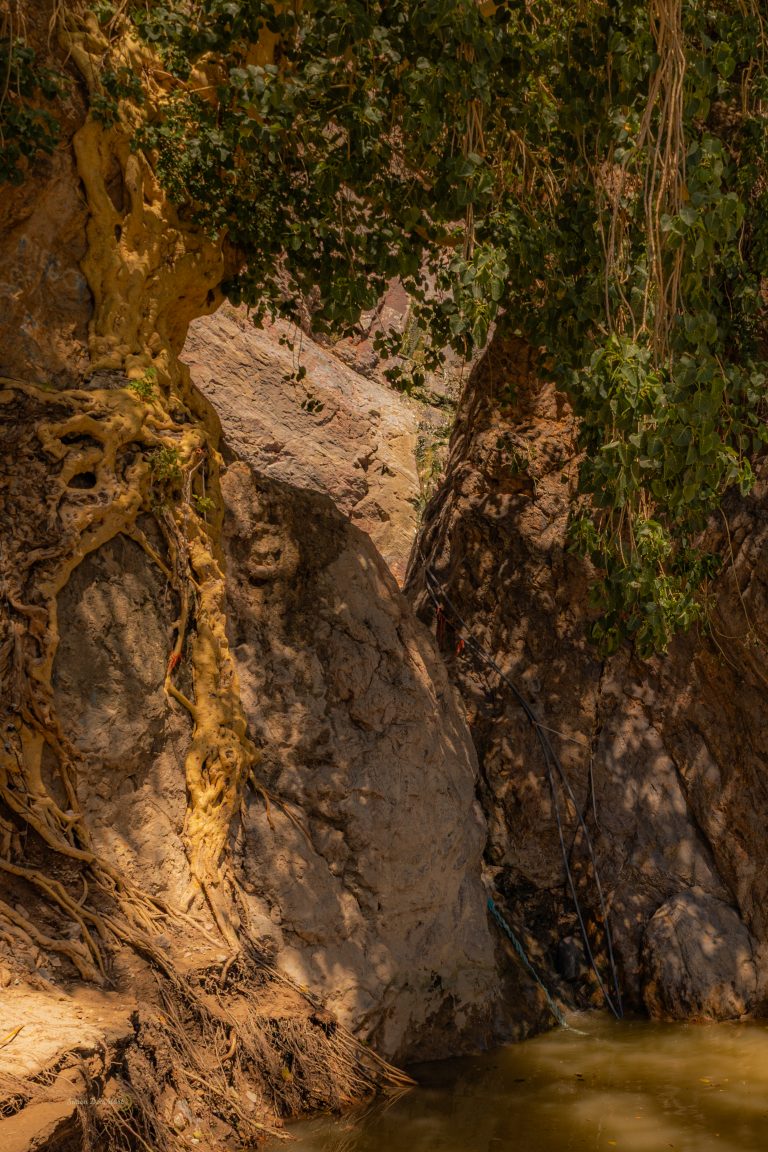 Ruta del Novillo Hiking – Sonora Tours